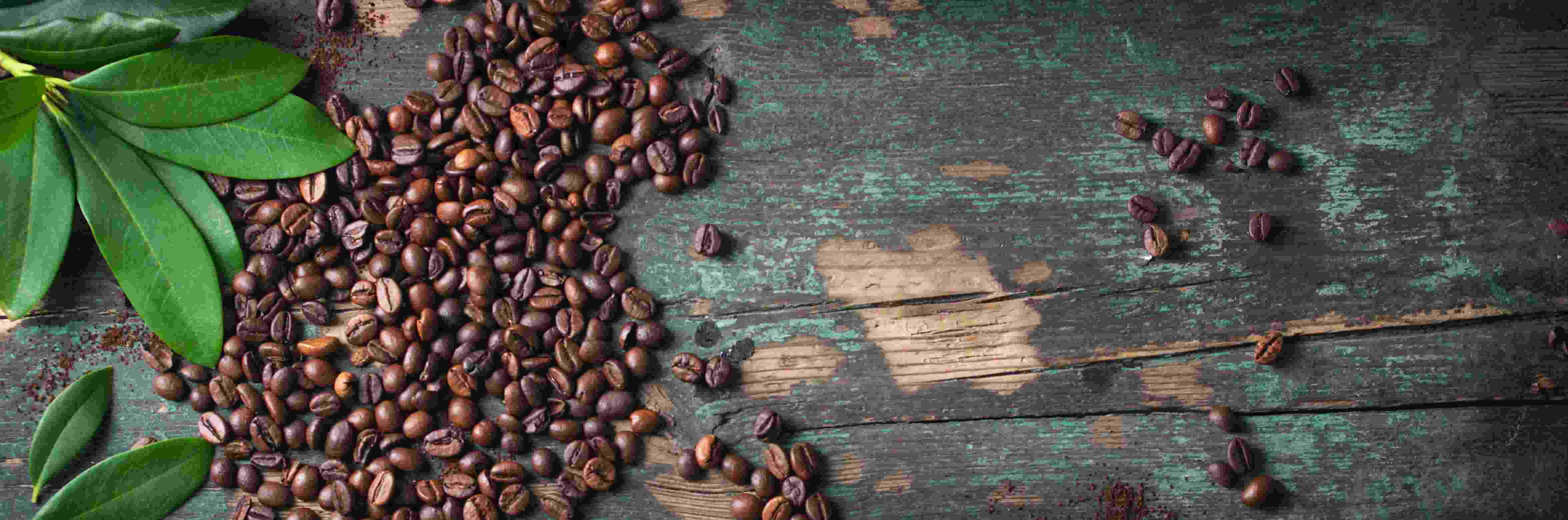 Trace Coffee Beans – Follow the journey…